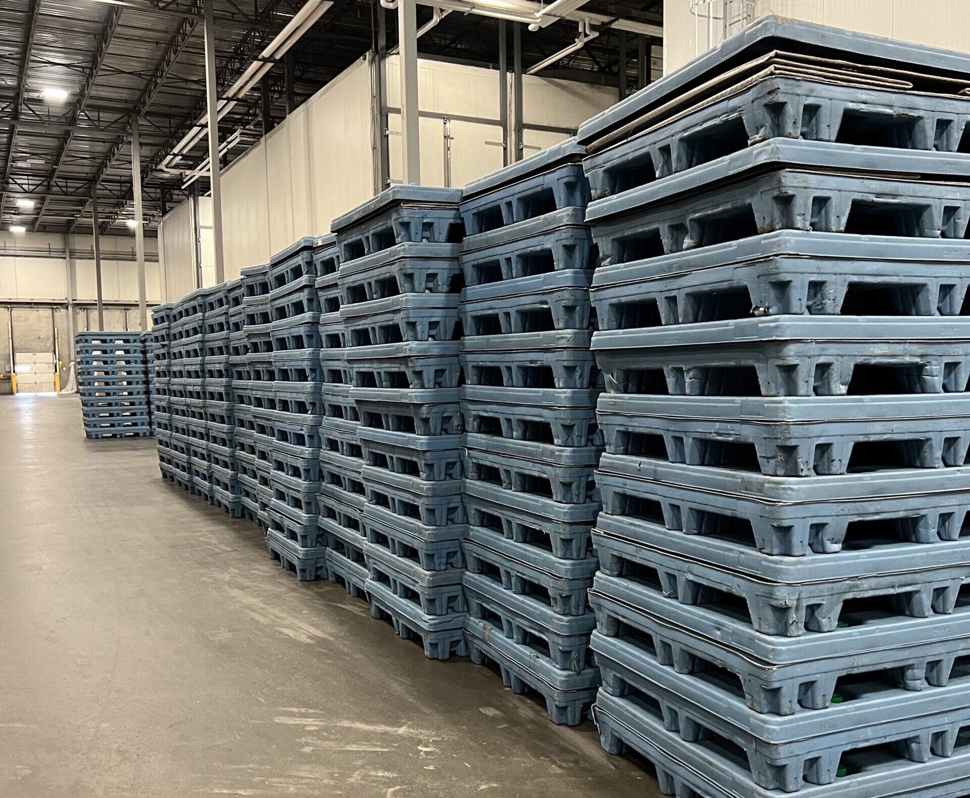 Infrastructure Solutions: Valuing Food at All Stages | Divert