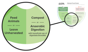 Understanding the New EPA Wasted Food Scale | Divert