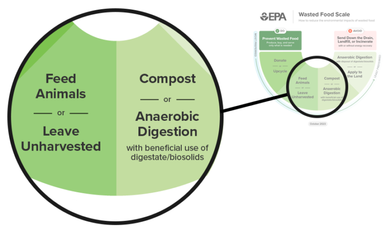Understanding the New EPA Wasted Food Scale | Divert