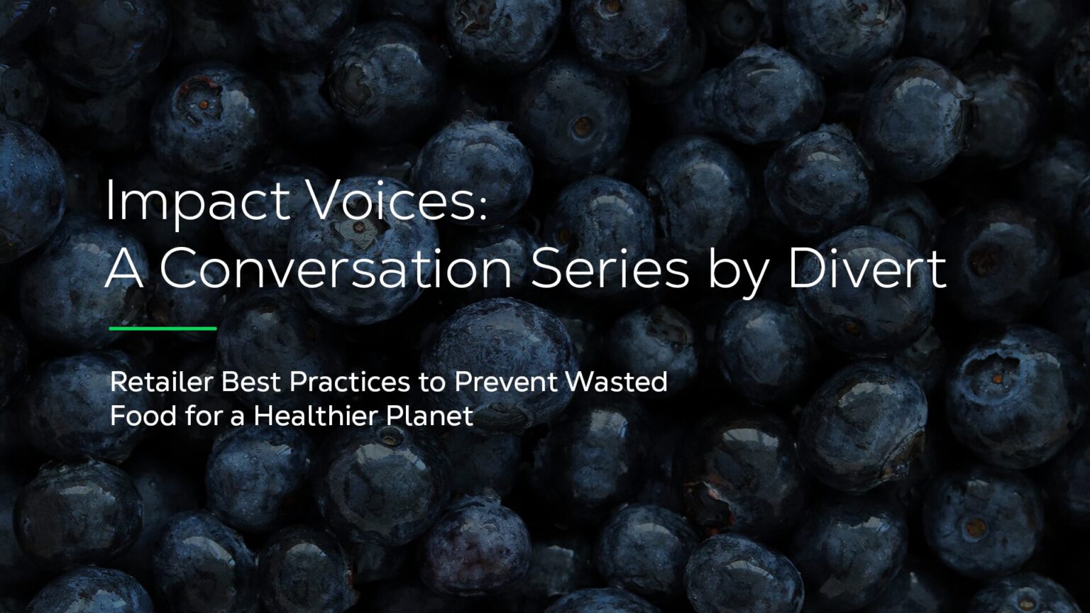 Divert Hosts Its First Impact Voices Event | Divert
