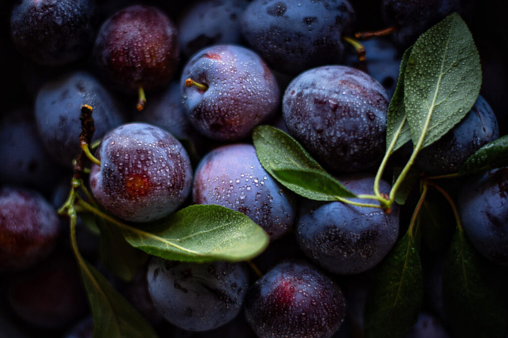 Frequently Asked Questions About Food Waste | Divert, Inc.